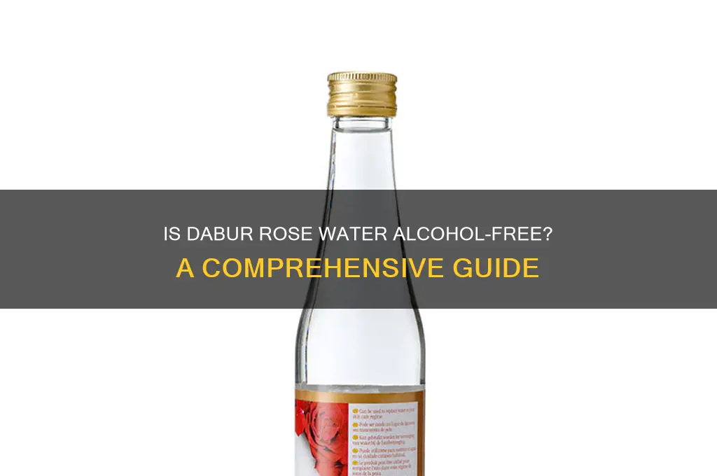 Is Dabur Rose Water Alcohol-Free? A Comprehensive Guide | CyAlcohol