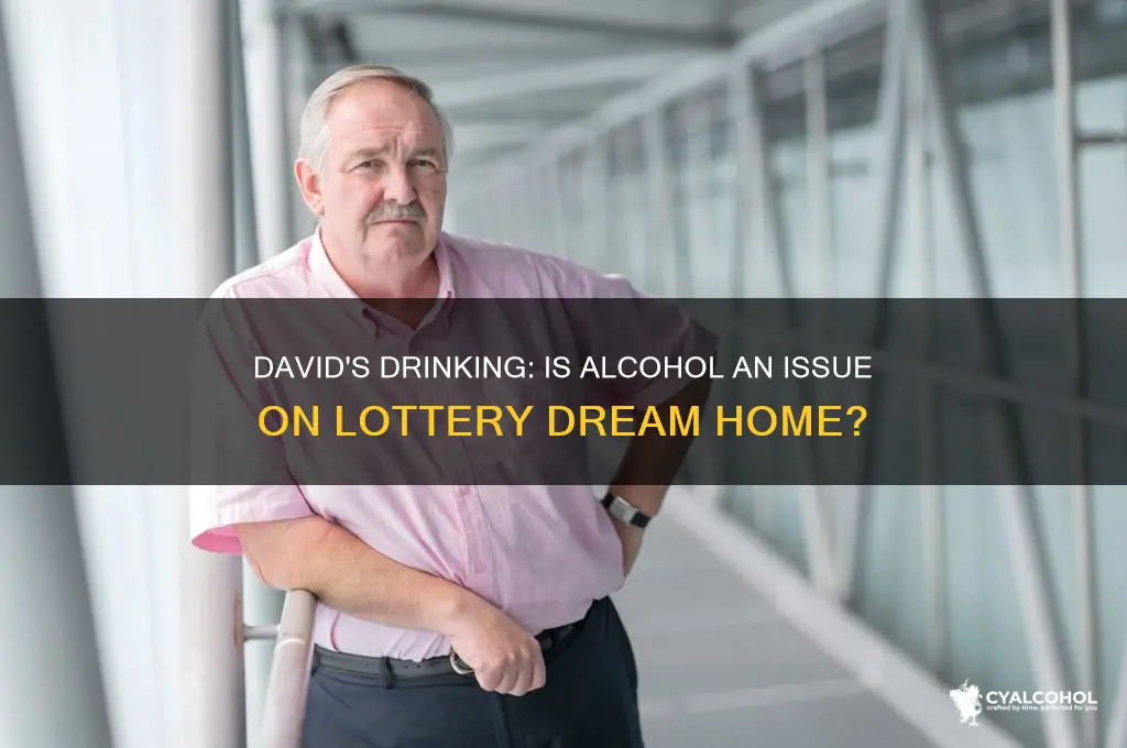 David's Drinking: Is Alcohol An Issue On Lottery Dream Home? | CyAlcohol