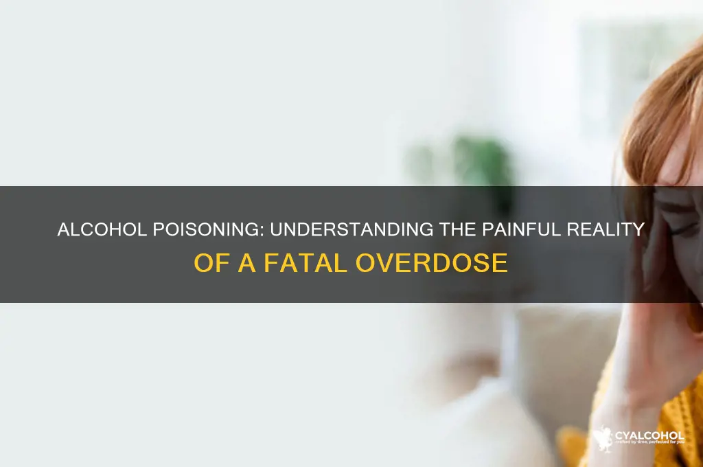 Alcohol Poisoning: Understanding The Painful Reality Of A Fatal ...