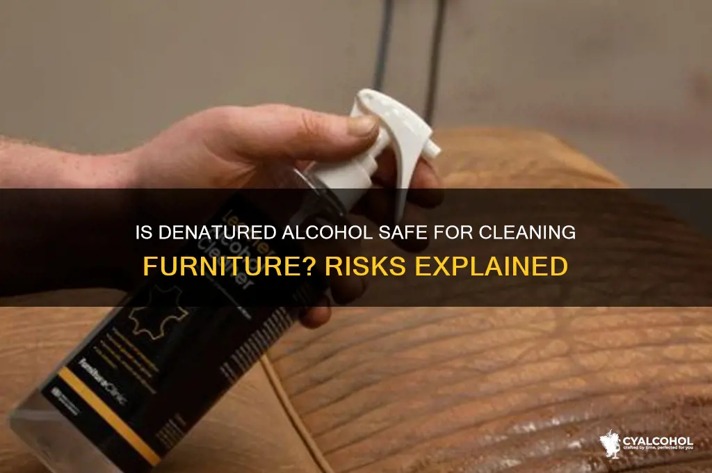 Is Denatured Alcohol Safe For Cleaning Furniture? Risks Explained ...