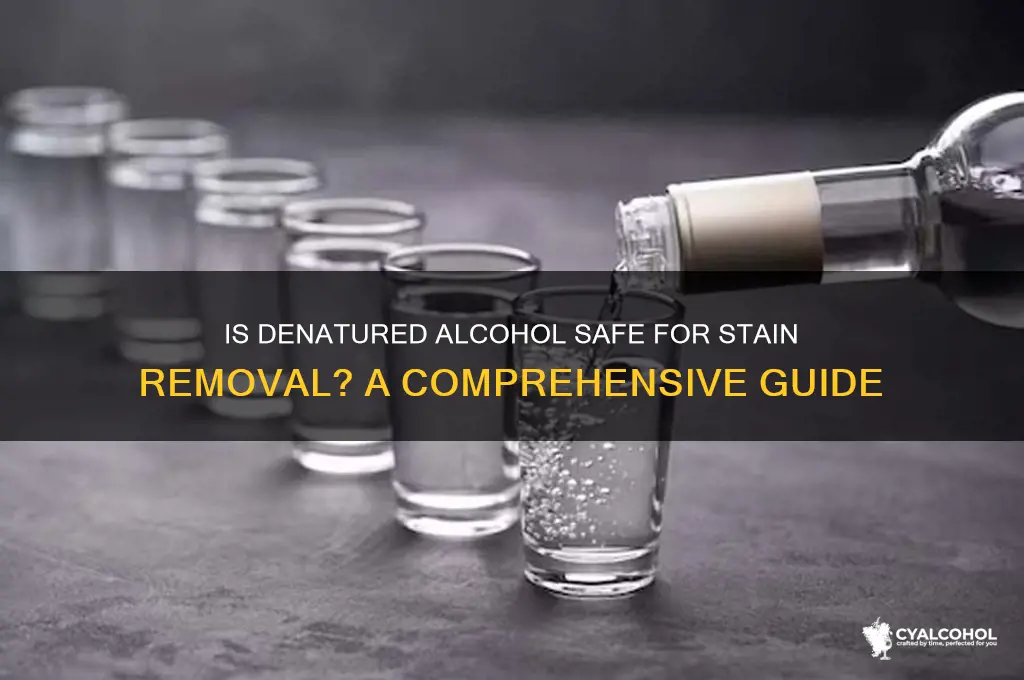 Is Denatured Alcohol Safe For Stain Removal? A Comprehensive Guide ...