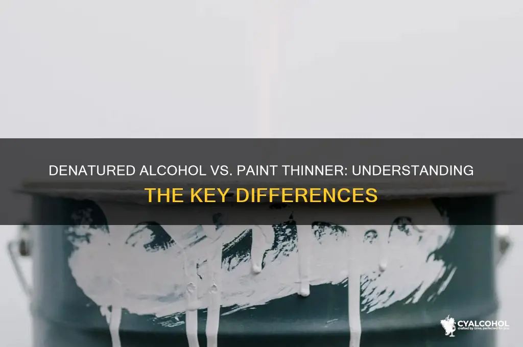 Denatured Alcohol Vs. Paint Thinner: Understanding The Key Differences ...