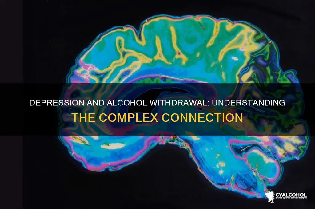 Depression And Alcohol Withdrawal: Understanding The Complex Connection ...