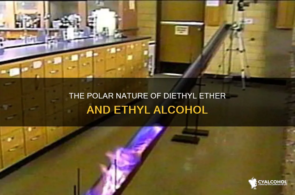 The Polar Nature Of Diethyl Ether And Ethyl Alcohol | CyAlcohol