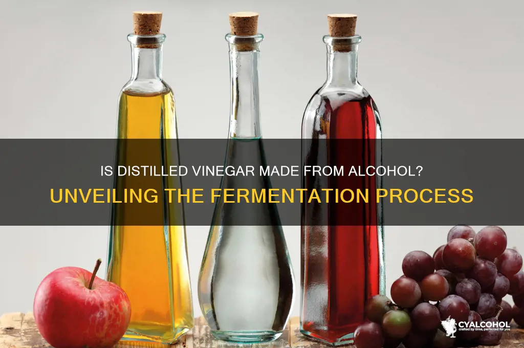 Is Distilled Vinegar Made From Alcohol? Unveiling The Fermentation ...