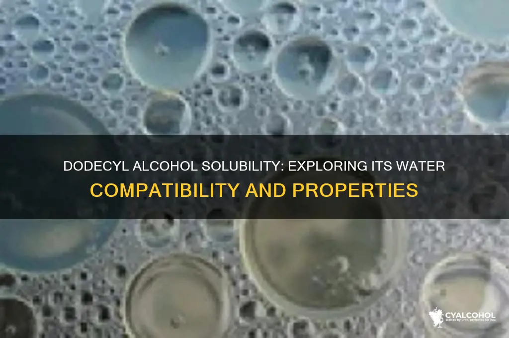 Dodecyl Alcohol Solubility: Exploring Its Water Compatibility And ...