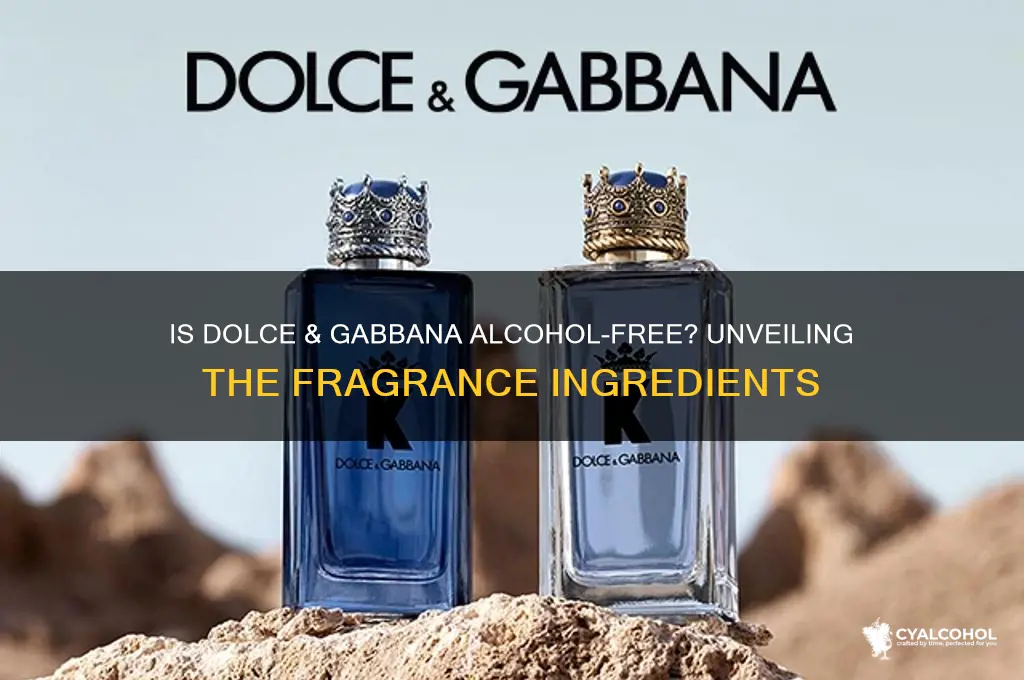 Is Dolce & Gabbana Alcohol-Free? Unveiling The Fragrance Ingredients ...