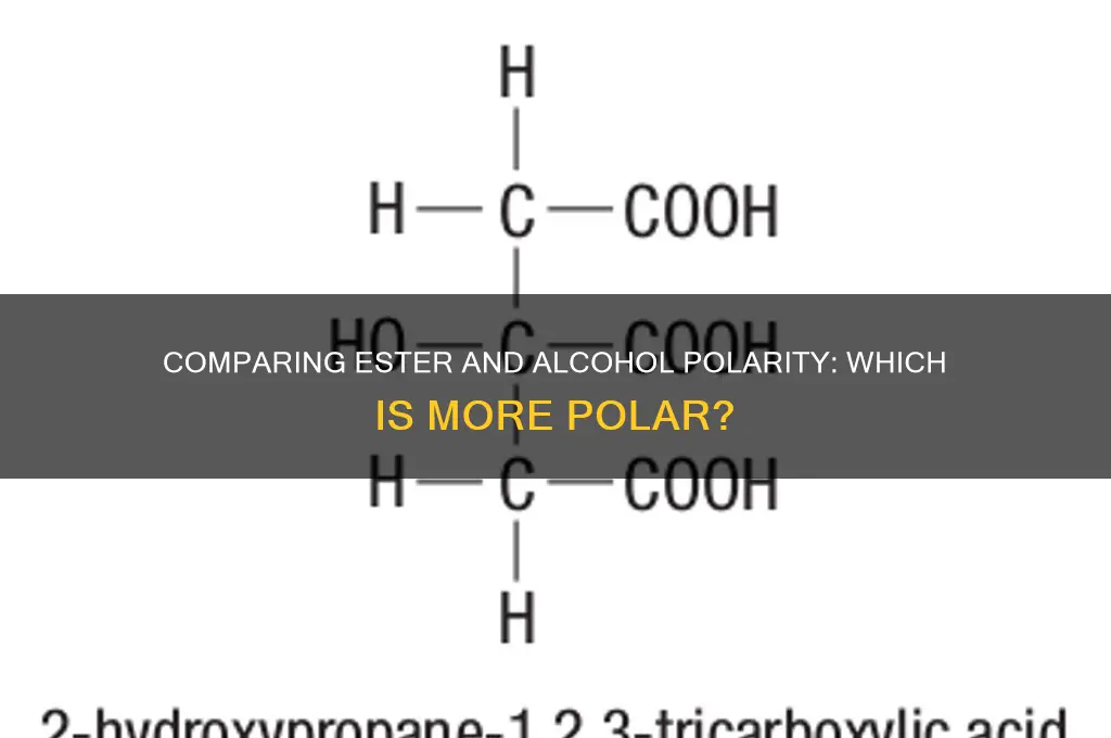 Comparing Ester And Alcohol Polarity: Which Is More Polar? | CyAlcohol