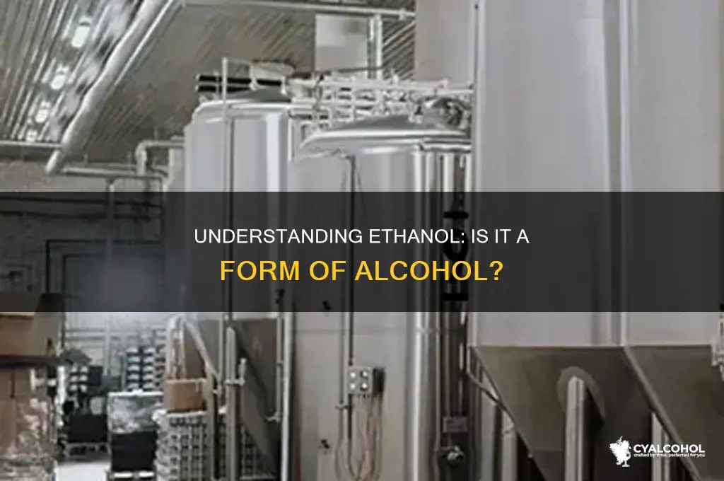 Understanding Ethanol: Is It A Form Of Alcohol? | CyAlcohol