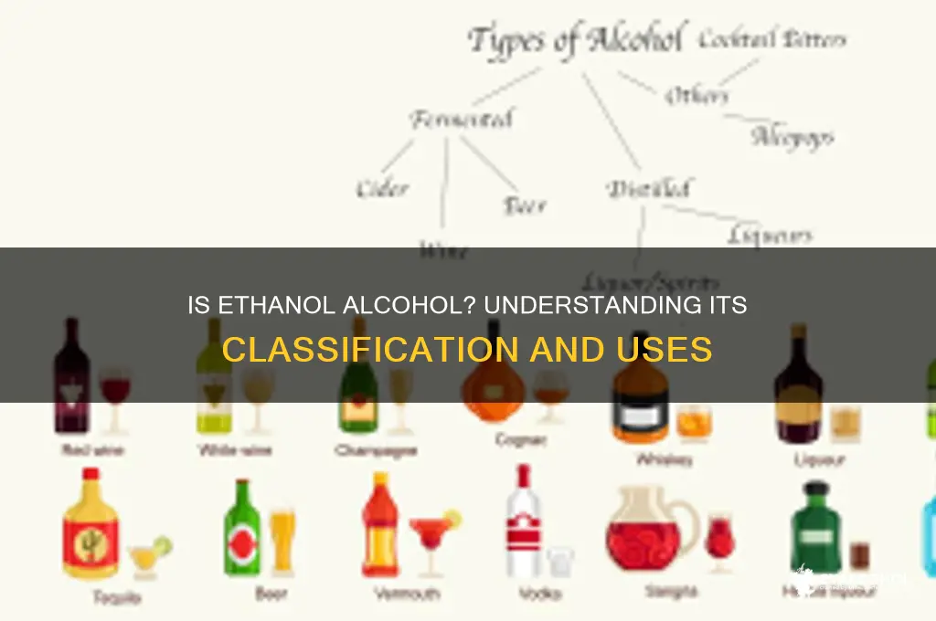 Is Ethanol Alcohol? Understanding Its Classification And Uses | CyAlcohol