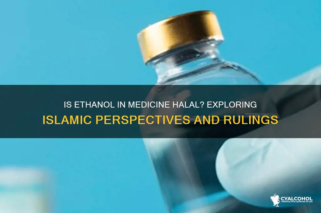 Is Ethanol In Medicine Halal? Exploring Islamic Perspectives And ...