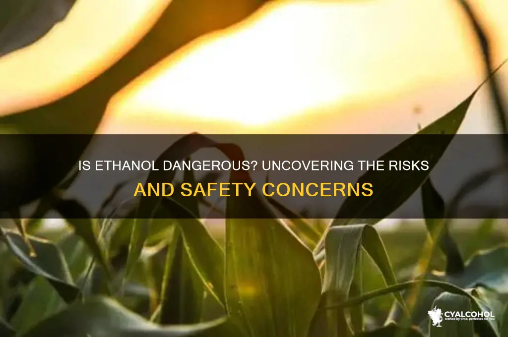 Is Ethanol Dangerous? Uncovering The Risks And Safety Concerns | CyAlcohol