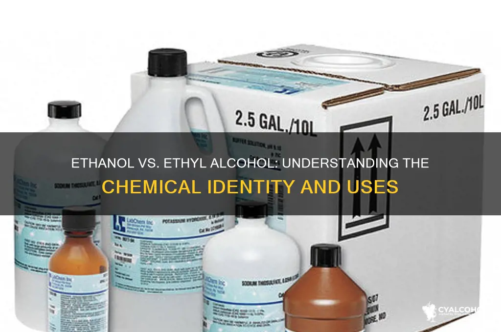 Ethanol Vs. Ethyl Alcohol: Understanding The Chemical Identity And Uses ...