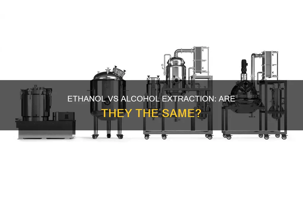 Ethanol Vs Alcohol Extraction: Are They The Same? | CyAlcohol