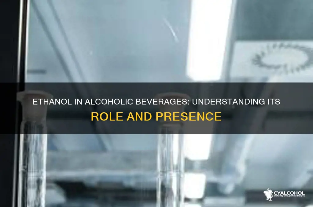Ethanol In Alcoholic Beverages: Understanding Its Role And Presence ...