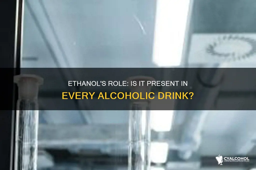 Ethanol's Role: Is It Present In Every Alcoholic Drink? | CyAlcohol