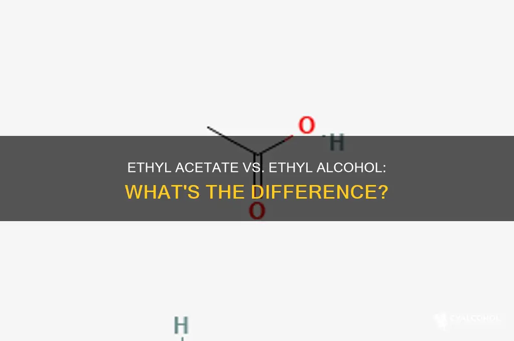 Ethyl Acetate Vs. Ethyl Alcohol: What's The Difference? | CyAlcohol