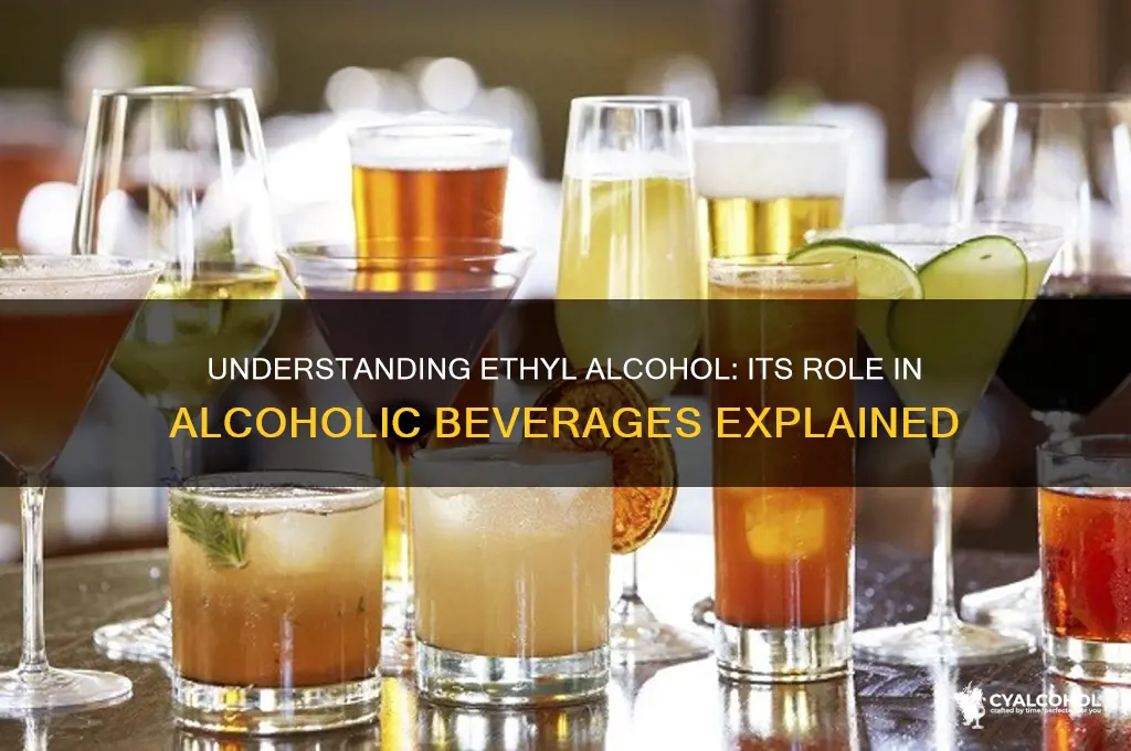Understanding Ethyl Alcohol: Its Role In Alcoholic Beverages Explained ...