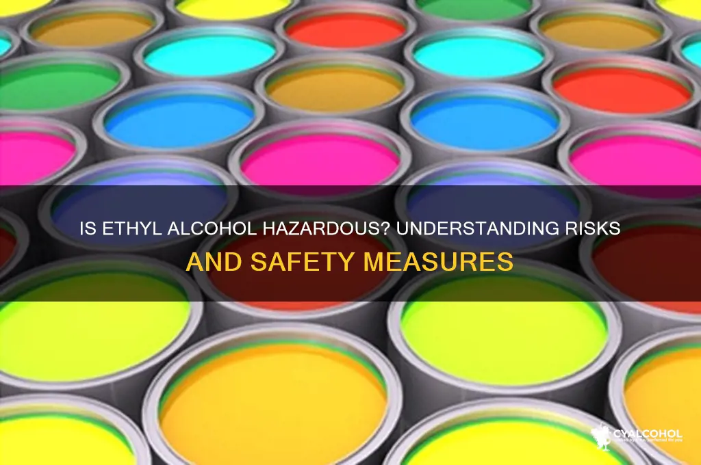 Is Ethyl Alcohol Hazardous? Understanding Risks And Safety Measures ...