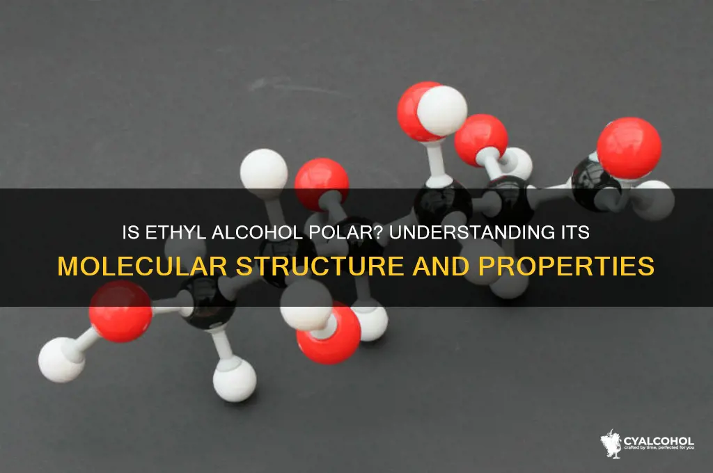 Is Ethyl Alcohol Polar? Understanding Its Molecular Structure And ...
