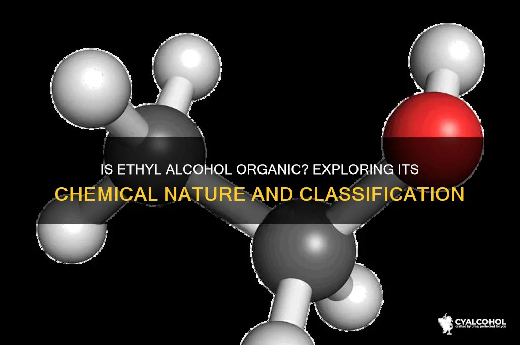 Is Ethyl Alcohol Organic? Exploring Its Chemical Nature And ...