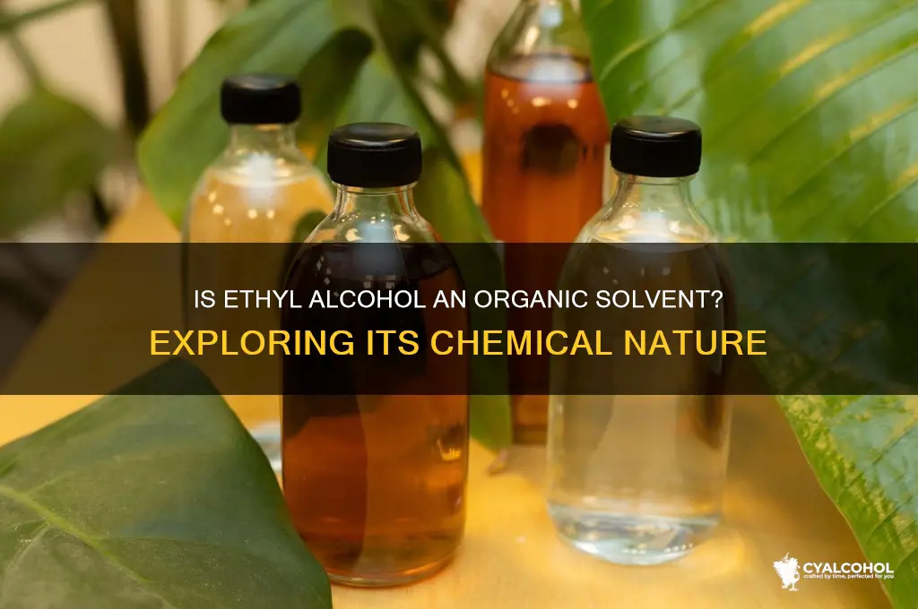 Is Ethyl Alcohol An Organic Solvent? Exploring Its Chemical Nature ...