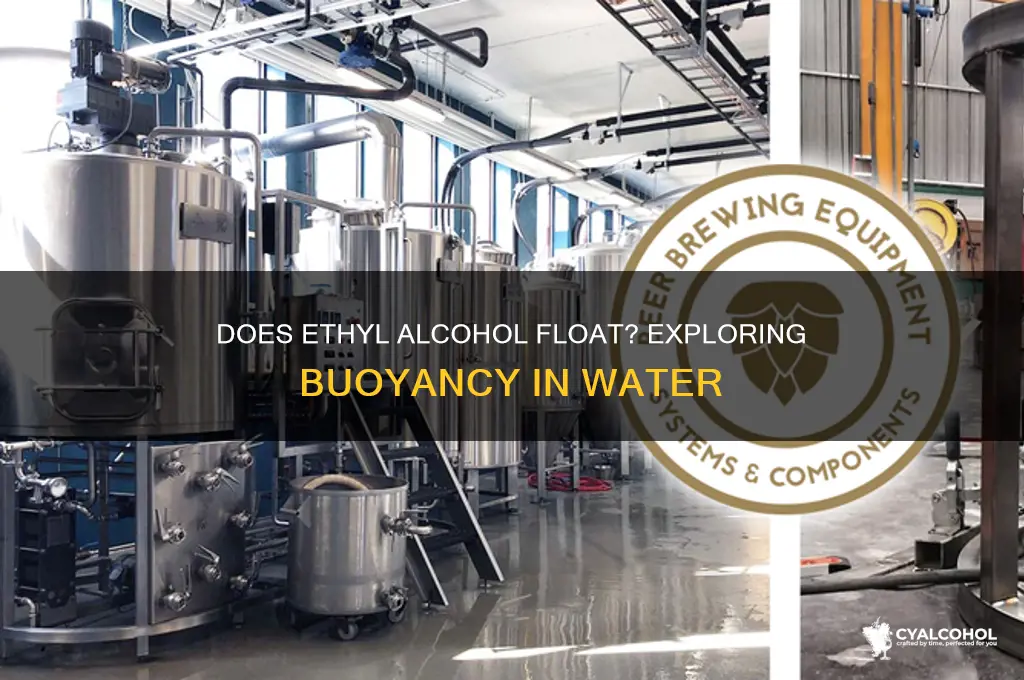 Does Ethyl Alcohol Float? Exploring Buoyancy In Water | CyAlcohol