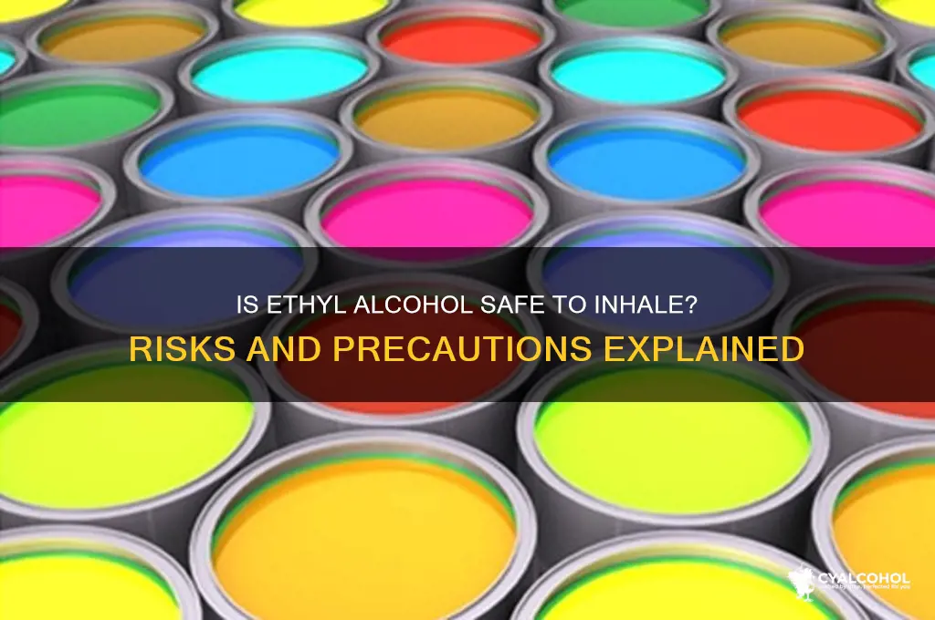 Is Ethyl Alcohol Safe To Inhale? Risks And Precautions Explained ...