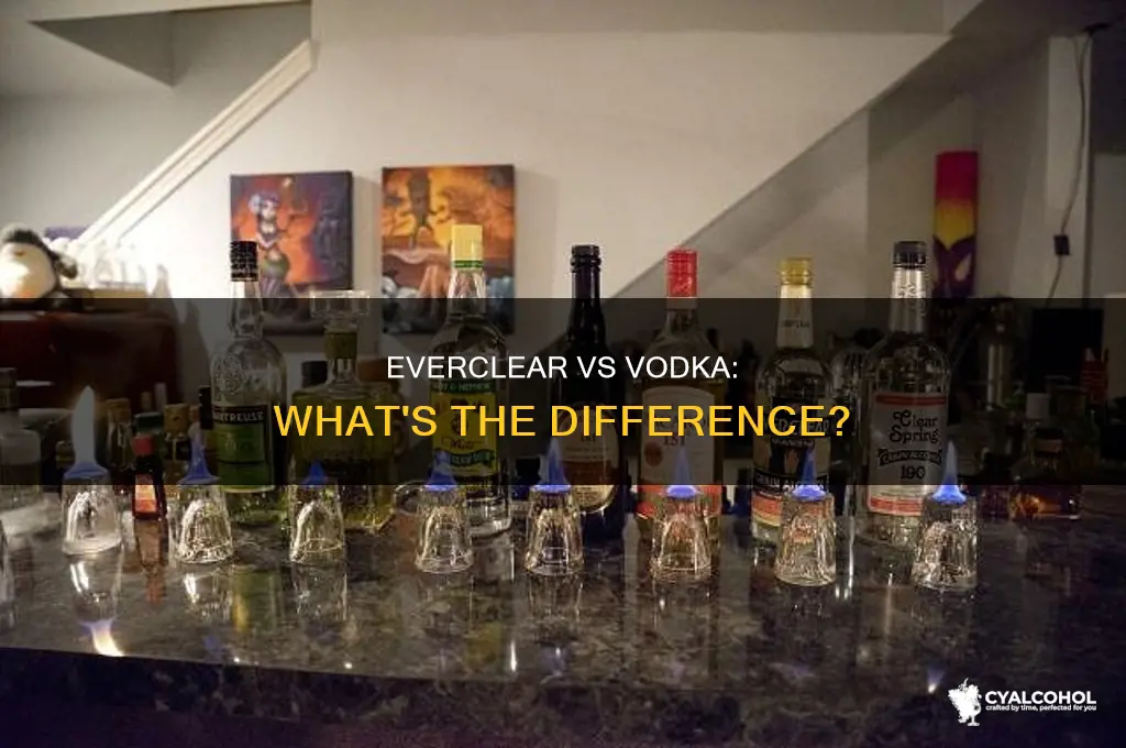 Everclear Vs Vodka: What's The Difference? | CyAlcohol