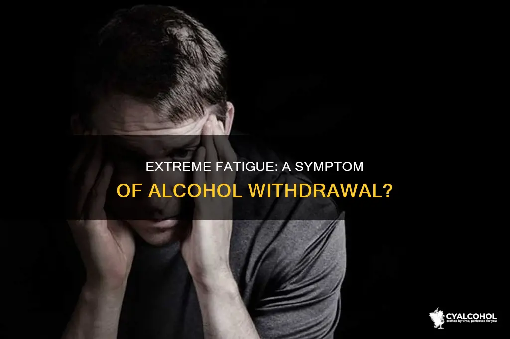 Extreme Fatigue: A Symptom Of Alcohol Withdrawal? | CyAlcohol