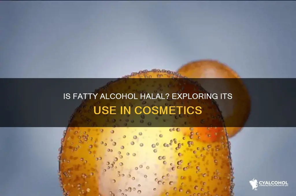 Is Fatty Alcohol Halal? Exploring Its Use In Cosmetics | CyAlcohol