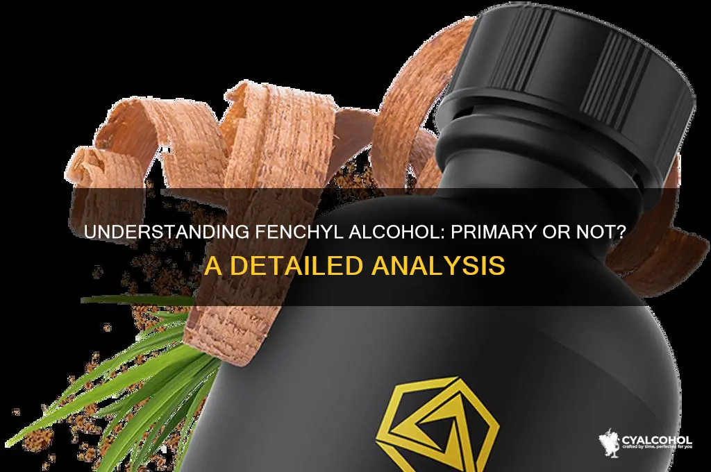 Understanding Fenchyl Alcohol: Primary Or Not? A Detailed Analysis ...