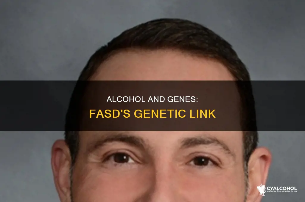 Alcohol And Genes: Fasd's Genetic Link | CyAlcohol