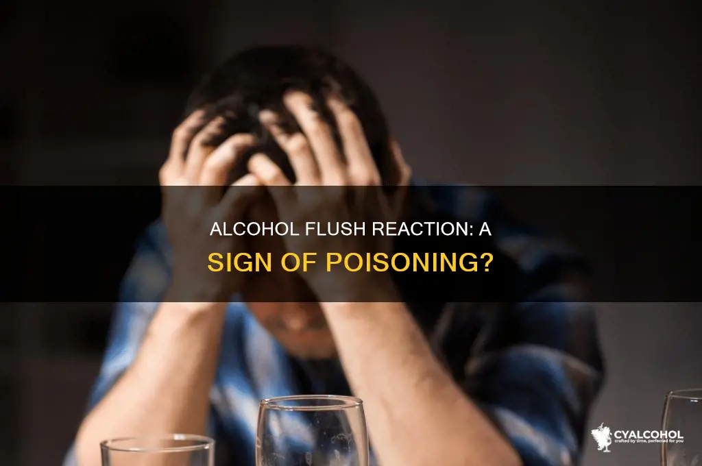 Alcohol Flush Reaction: A Sign Of Poisoning? | CyAlcohol
