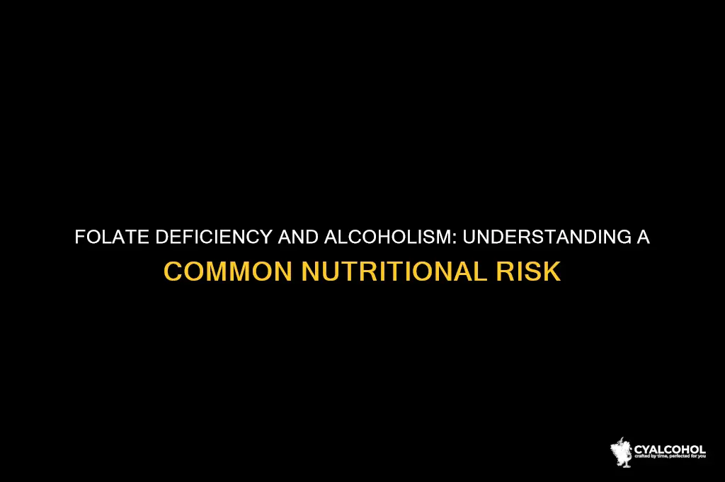 Folate Deficiency And Alcoholism: Understanding A Common Nutritional ...