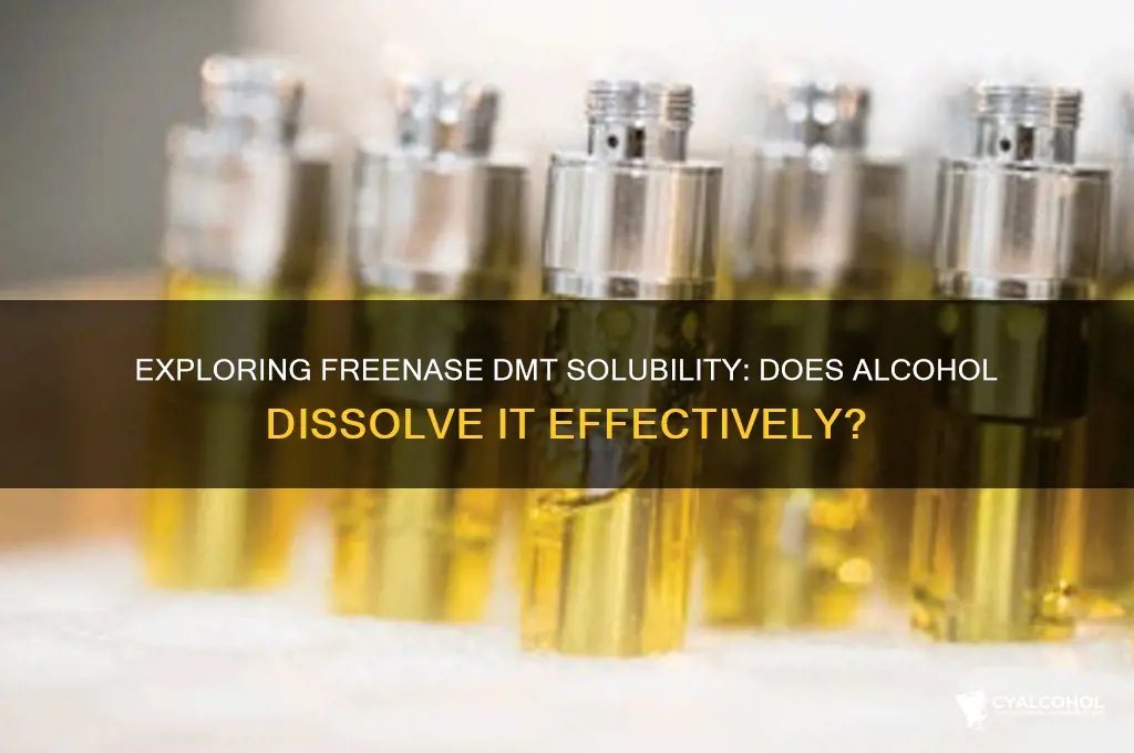 Exploring Freenase Dmt Solubility: Does Alcohol Dissolve It Effectively ...