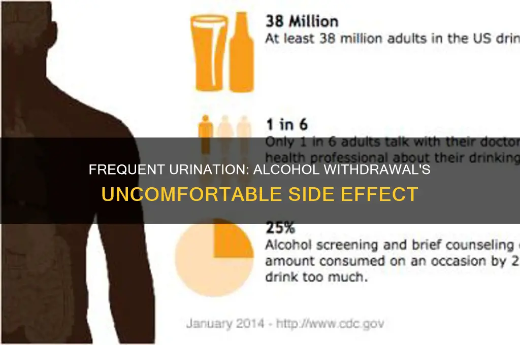 Frequent Urination: Alcohol Withdrawal's Uncomfortable Side Effect ...