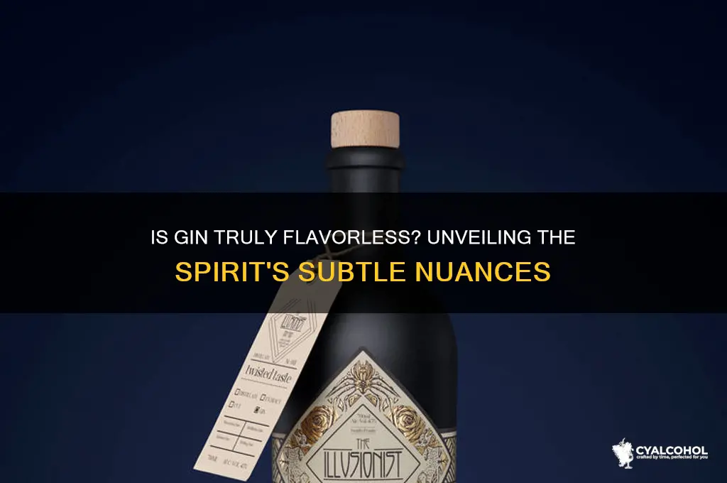Is Gin Truly Flavorless? Unveiling The Spirit's Subtle Nuances | CyAlcohol