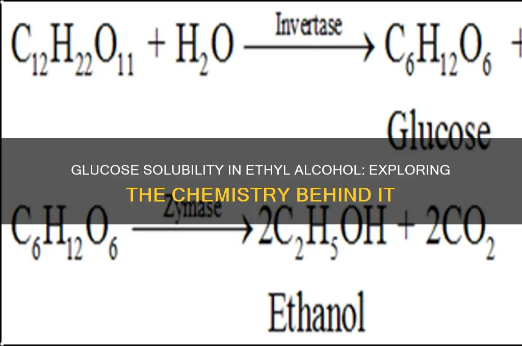 Glucose Solubility In Ethyl Alcohol: Exploring The Chemistry Behind It ...