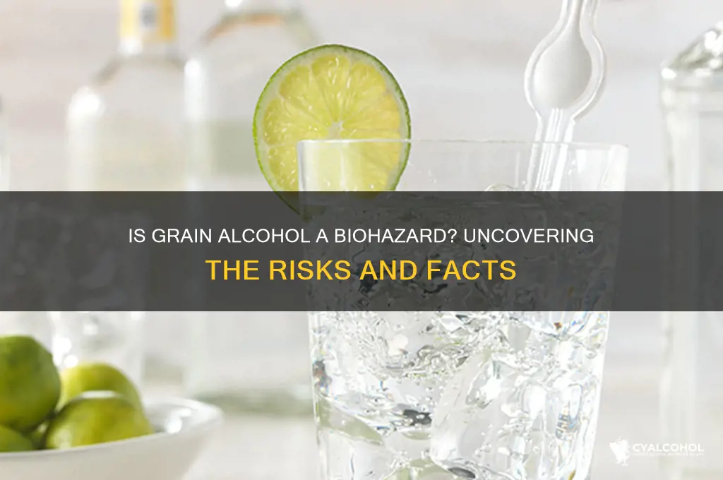 Is Grain Alcohol A Biohazard? Uncovering The Risks And Facts | CyAlcohol