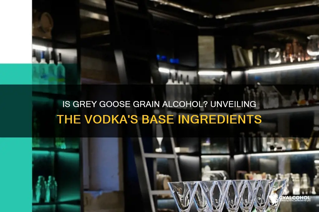 Is Grey Goose Grain Alcohol? Unveiling The Vodka's Base Ingredients ...