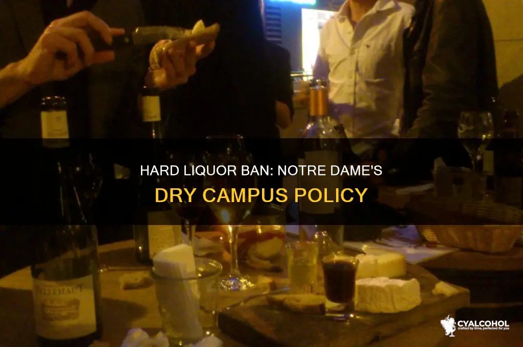 Hard Liquor Ban: Notre Dame's Dry Campus Policy | CyAlcohol