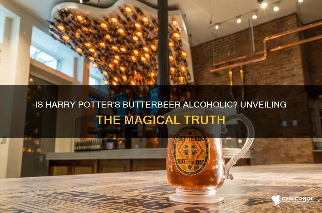Is Harry Potter's Butterbeer Alcoholic? Unveiling The Magical Truth ...