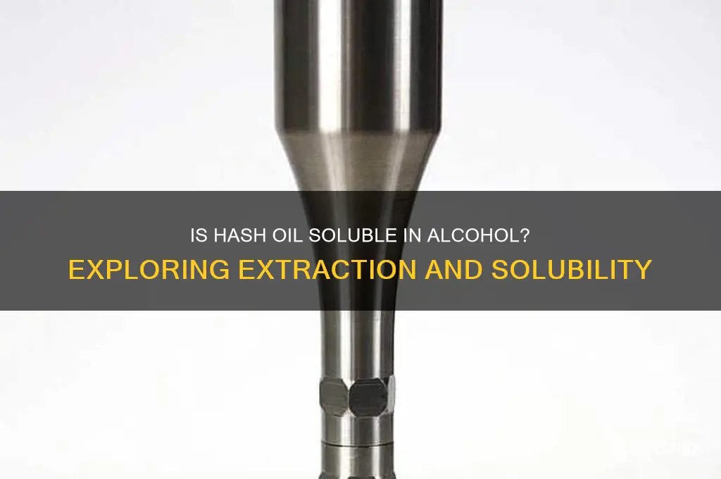 Is Hash Oil Soluble In Alcohol? Exploring Extraction And Solubility ...