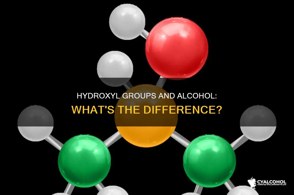 Hydroxyl Groups And Alcohol: What's The Difference? | CyAlcohol