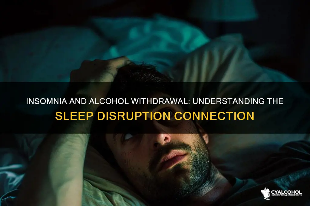 Insomnia And Alcohol Withdrawal: Understanding The Sleep Disruption ...