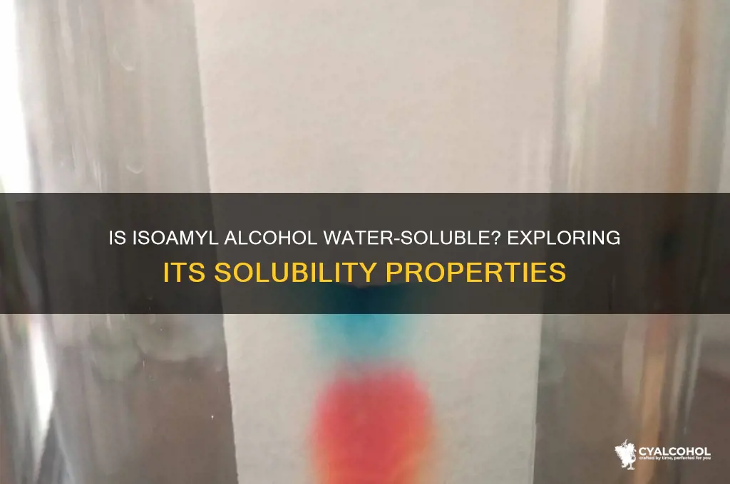 Is Isoamyl Alcohol Water-Soluble? Exploring Its Solubility Properties ...