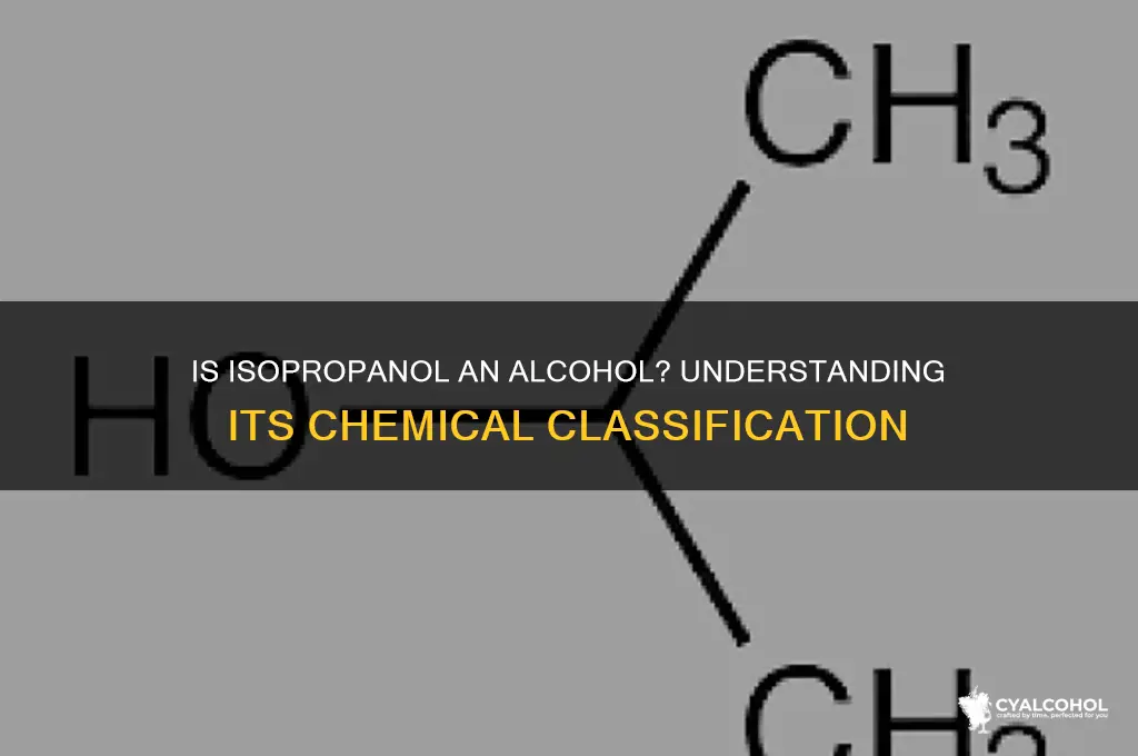 Is Isopropanol An Alcohol? Understanding Its Chemical Classification ...