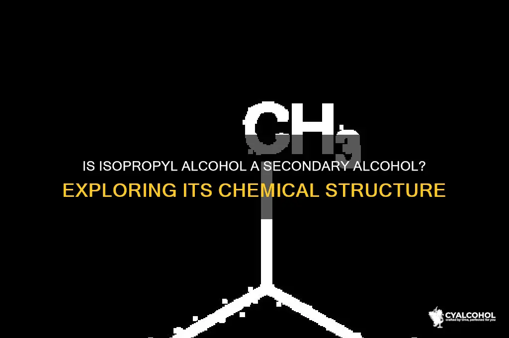 Is Isopropyl Alcohol A Secondary Alcohol? Exploring Its Chemical ...