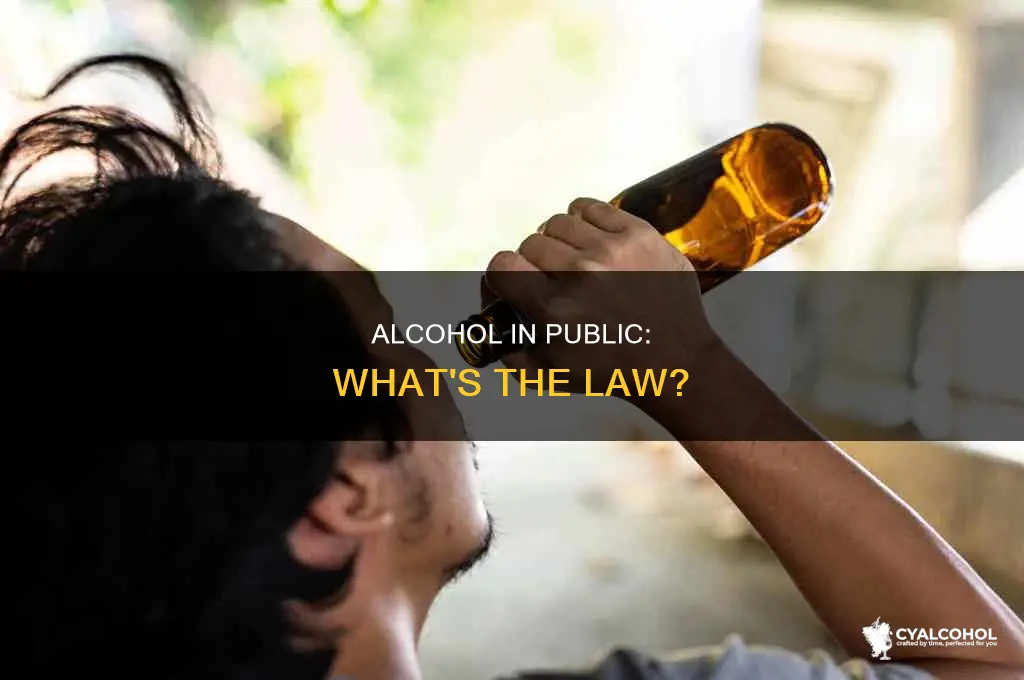 Alcohol In Public: What's The Law? | CyAlcohol